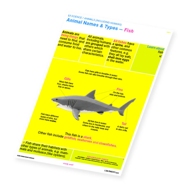 Animal Names & Types — Fish (L1 Science) | Learnest