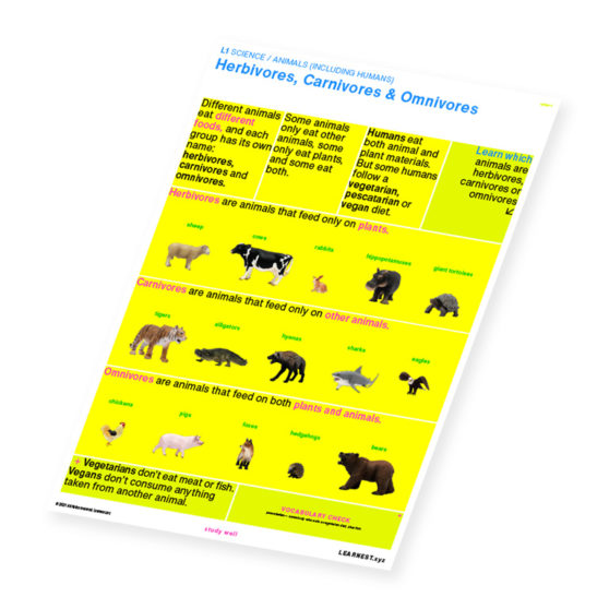 Herbivores, Carnivores & Omnivores (L1 Science) | Learnest