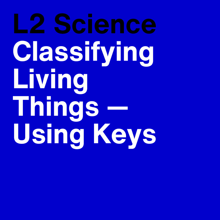 Classifying Living Things — Using Keys (L2 Science) | Learnest