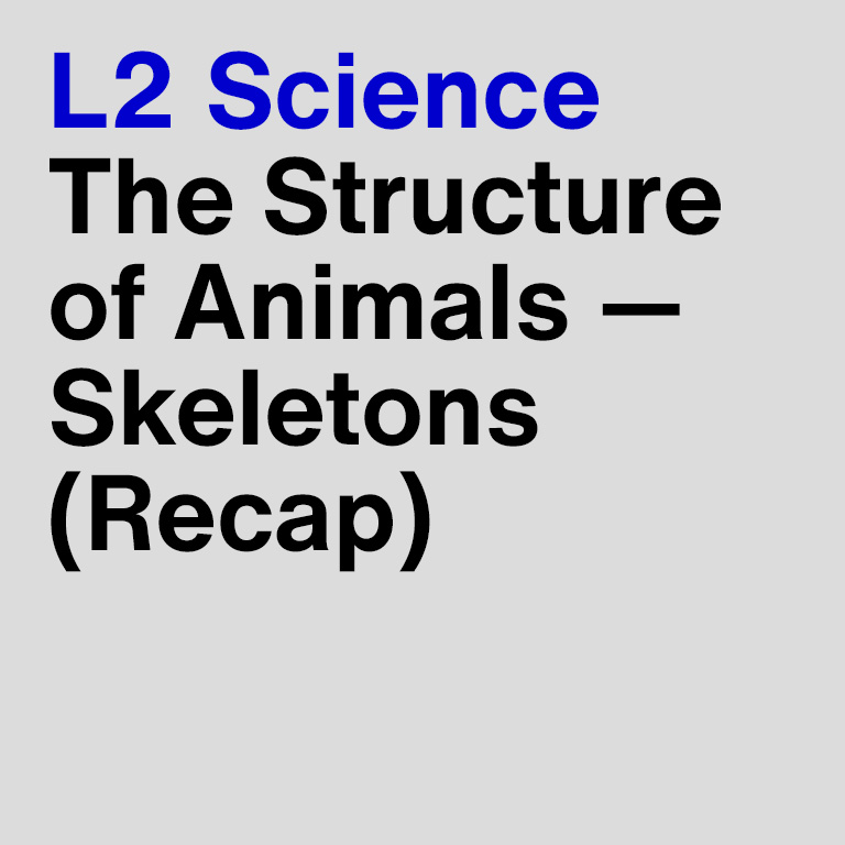 Recap: The Structure Of Animals — Skeletons (L2 Science ...