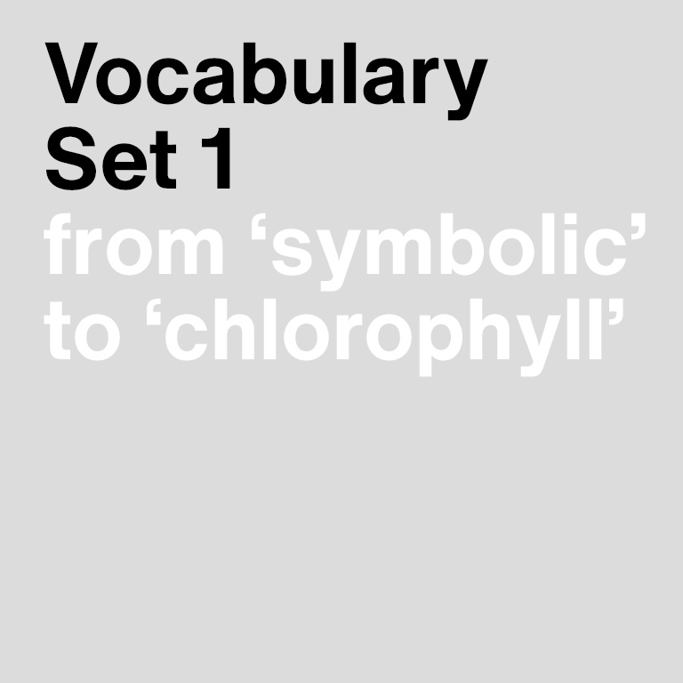 Vocabulary | Primary (KS1/2) Study Materials | LearnestPrimary.com