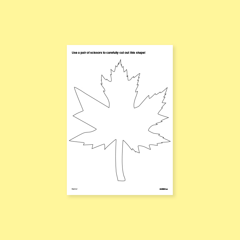 Maple Leaf (Cut-Out) | Learnest